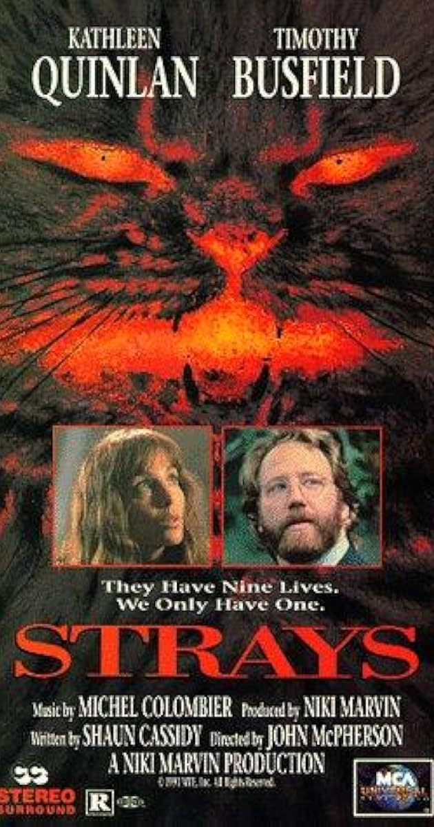 Strays (TV Movie 1991) - IMDb