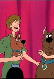 "Scooby-Doo and Scrappy-Doo" Who's Scooby-Doo?/Beauty Contest Caper ...