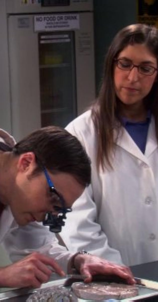 "The Big Bang Theory" The Vacation Solution (TV Episode 2012) - IMDb